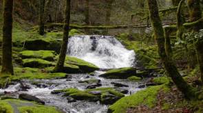 Water Purification in the Banff National Park Backcountry