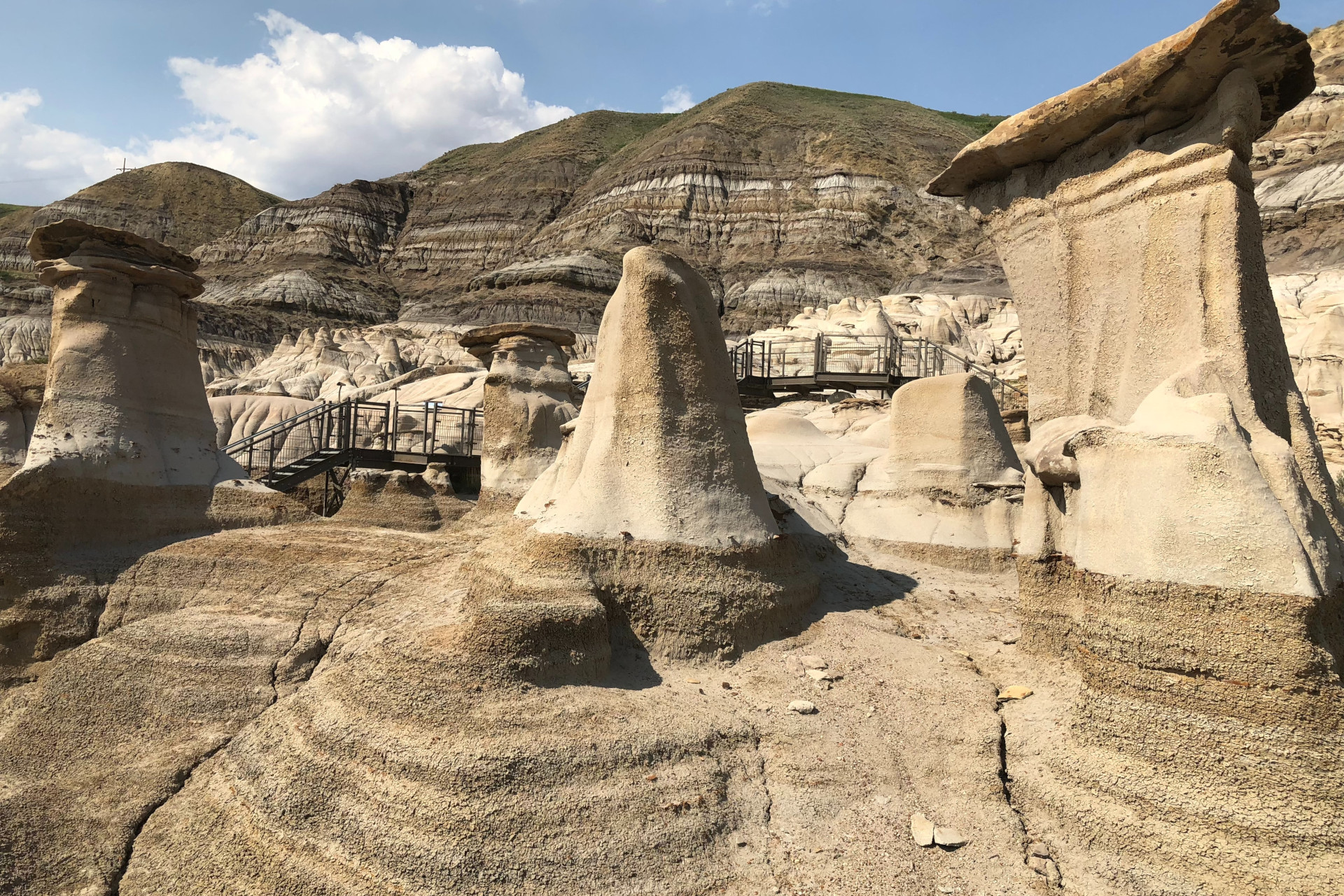 28 Best Drives and Walks Around Banff National Park