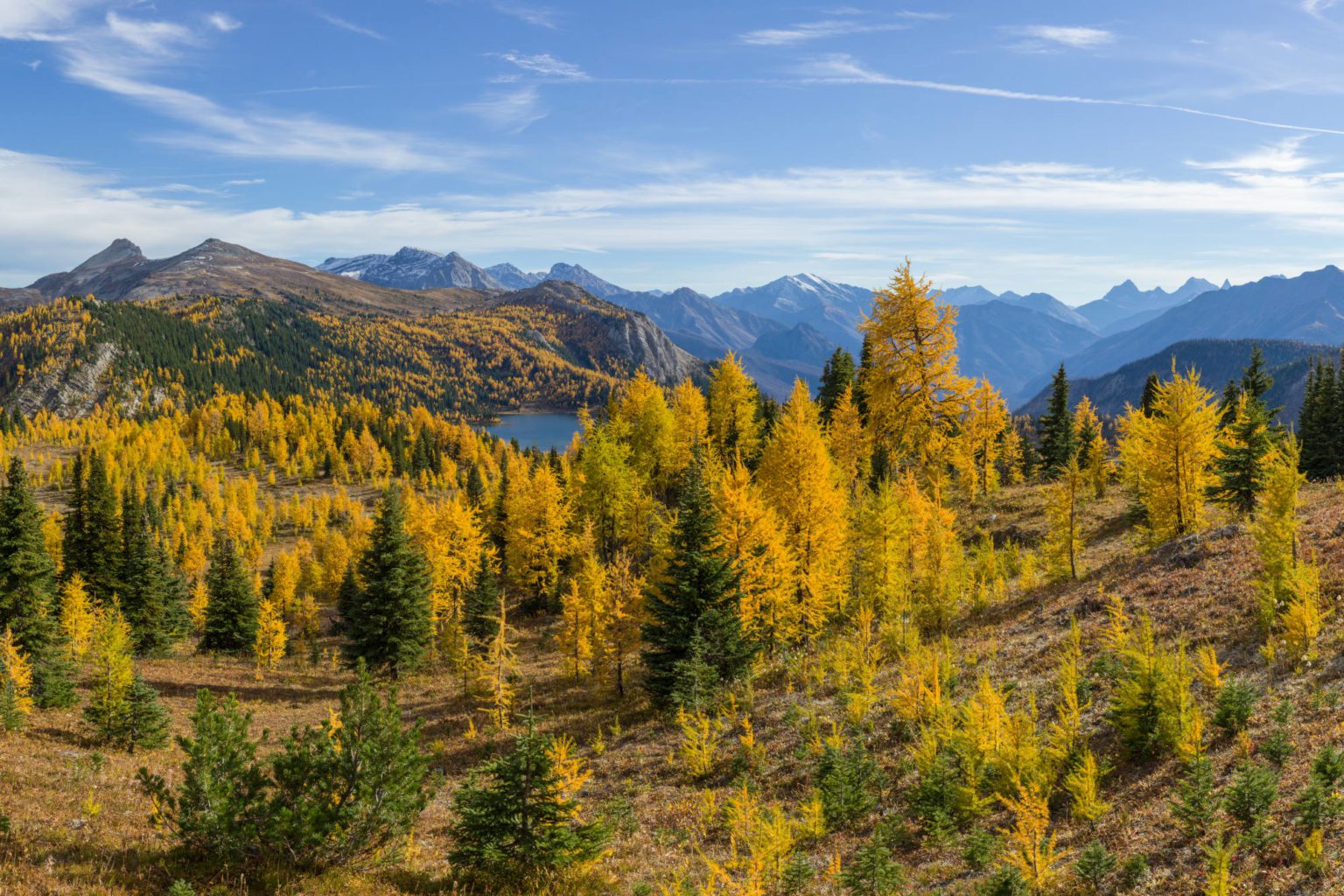 "Falling" for Banff: The Autumn Allure of Banff in October