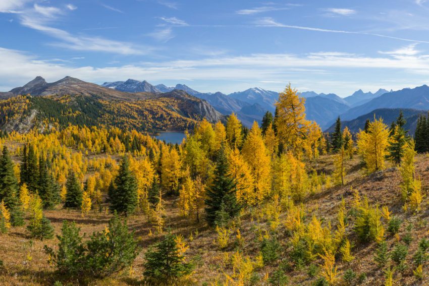 "Falling" for Banff: The Autumn Allure of Banff in October