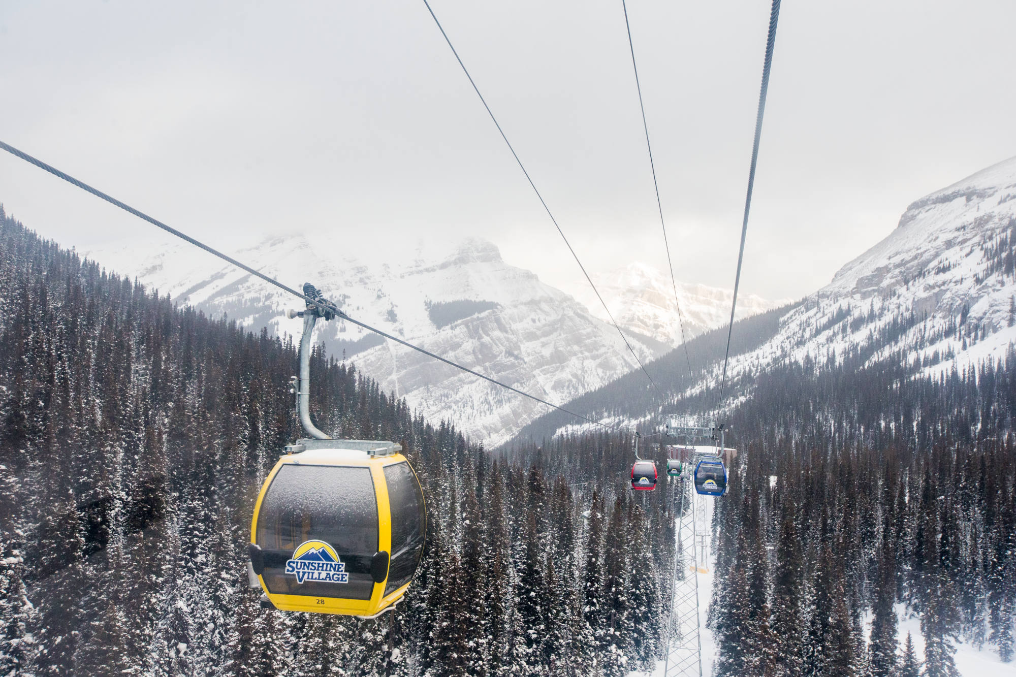 Skiing In Banff - The Ultimate Ski Trip Guide - Banff National Park