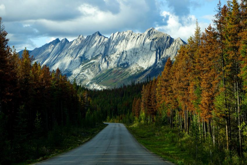 Vancouver to Banff - 4 Ways to Get There - Banff National Park