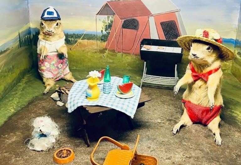 Discover the Drive from Calgary to Edmonton - Banff National Park