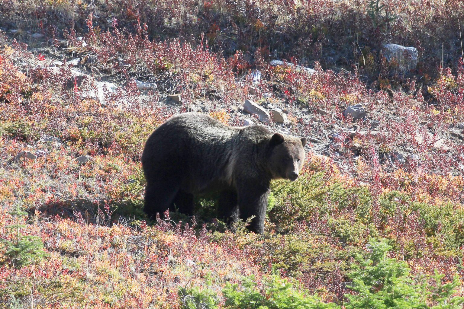 Banff in September - A Visitor's Guide - Banff National Park