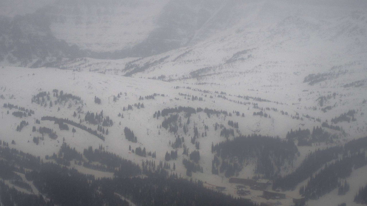 48 Amazing Webcams in Banff National Park