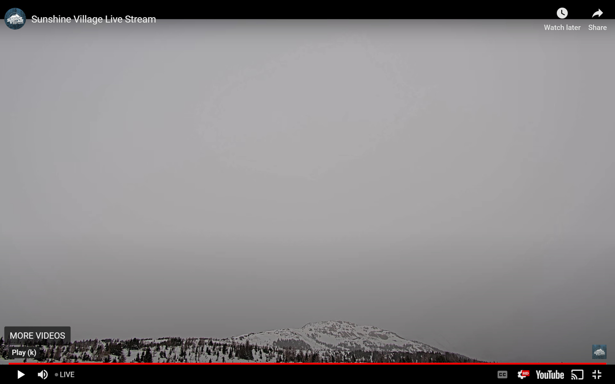48 Amazing Webcams in Banff National Park