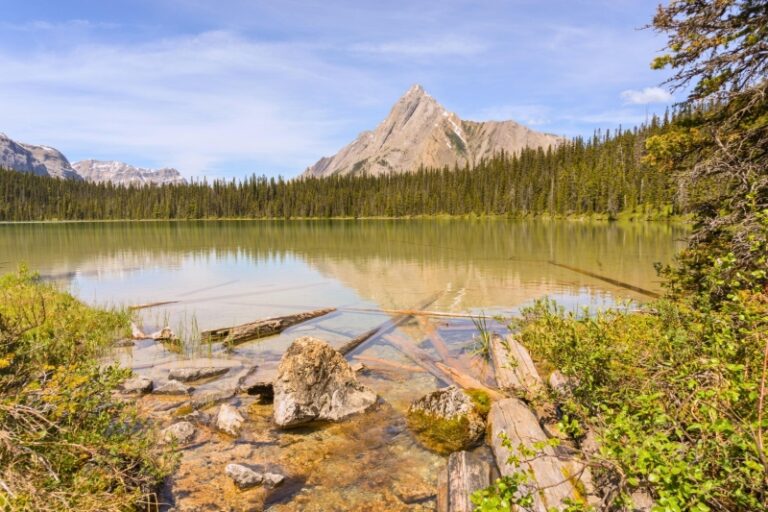 Mist Mountain Hot Springs: Where Nature Meets Relaxation