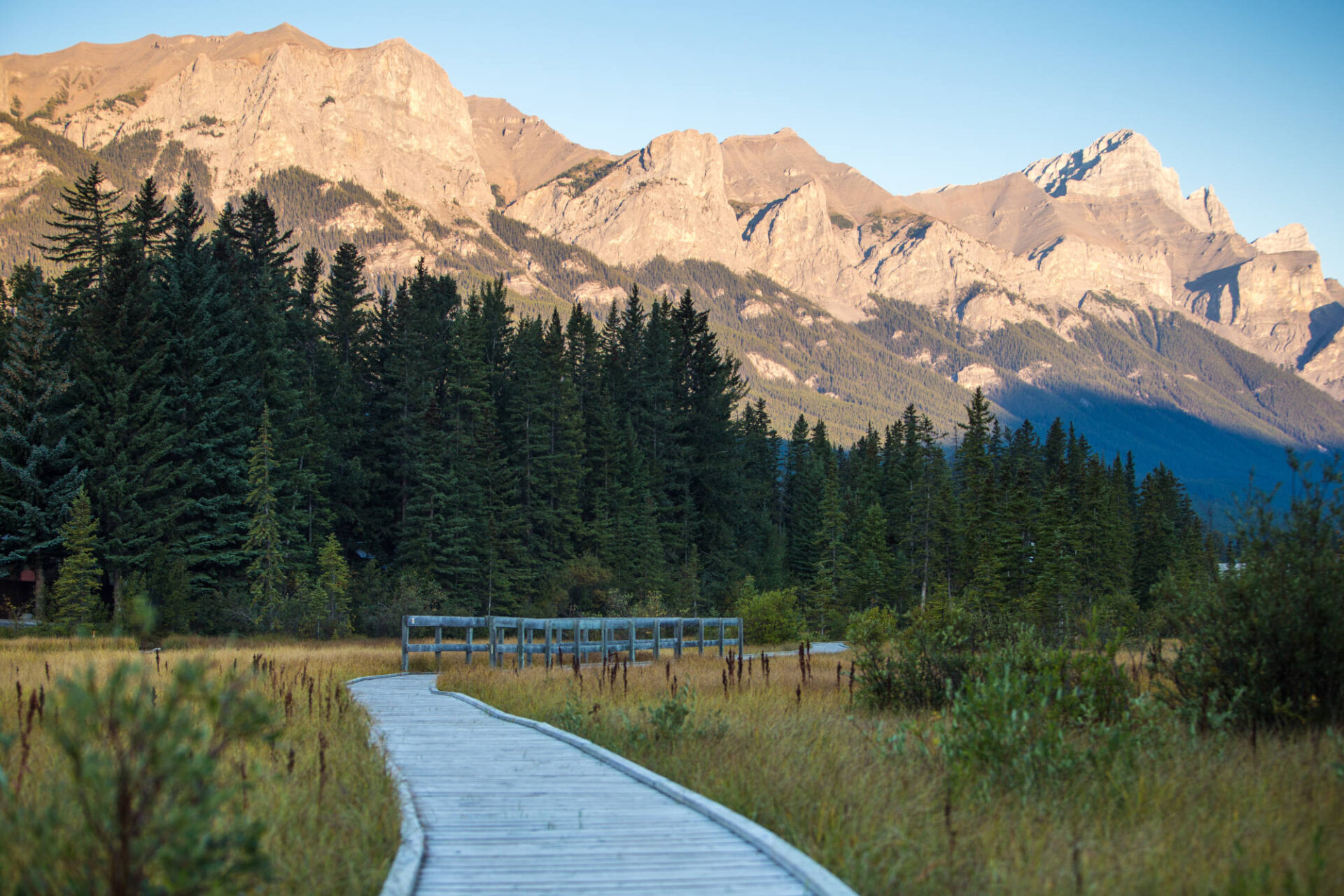 Kick Up Your Kilts with The Canmore Highland Games - Banff National Park