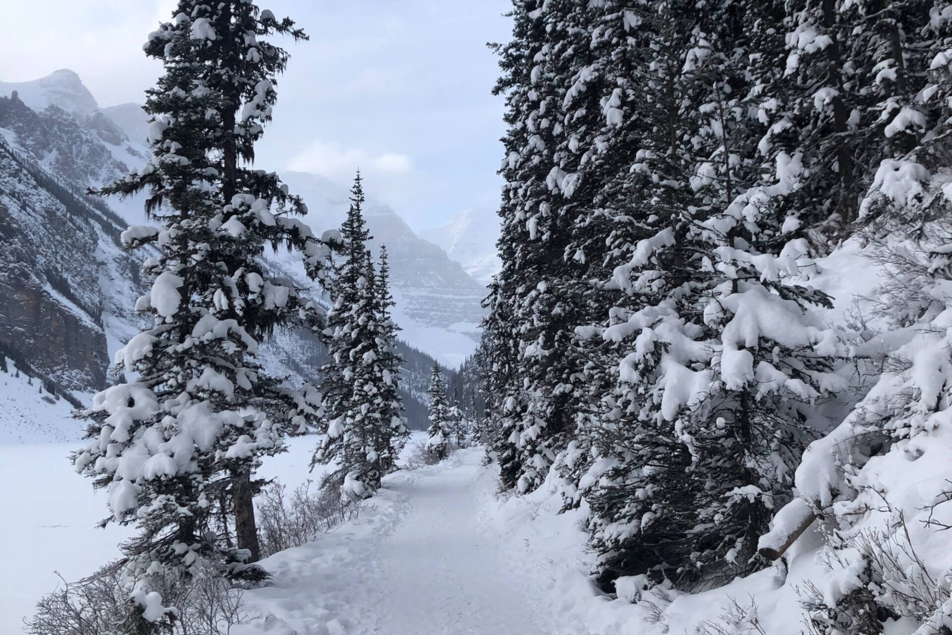 The Delights of Banff in December - All You Need To Know - Banff ...