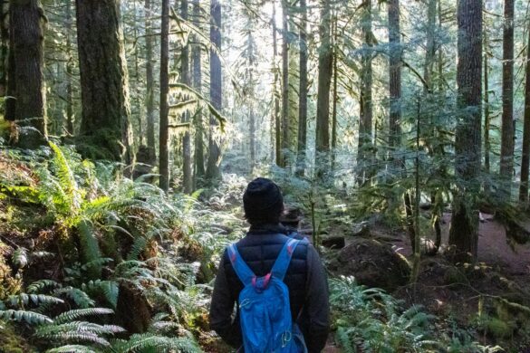 Banff in April - Explore Nature at its Best - Banff National Park